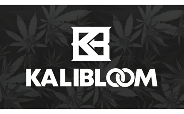 Kalibloom KIK Delta-8 Disposable 2G - Kalibloom disposables